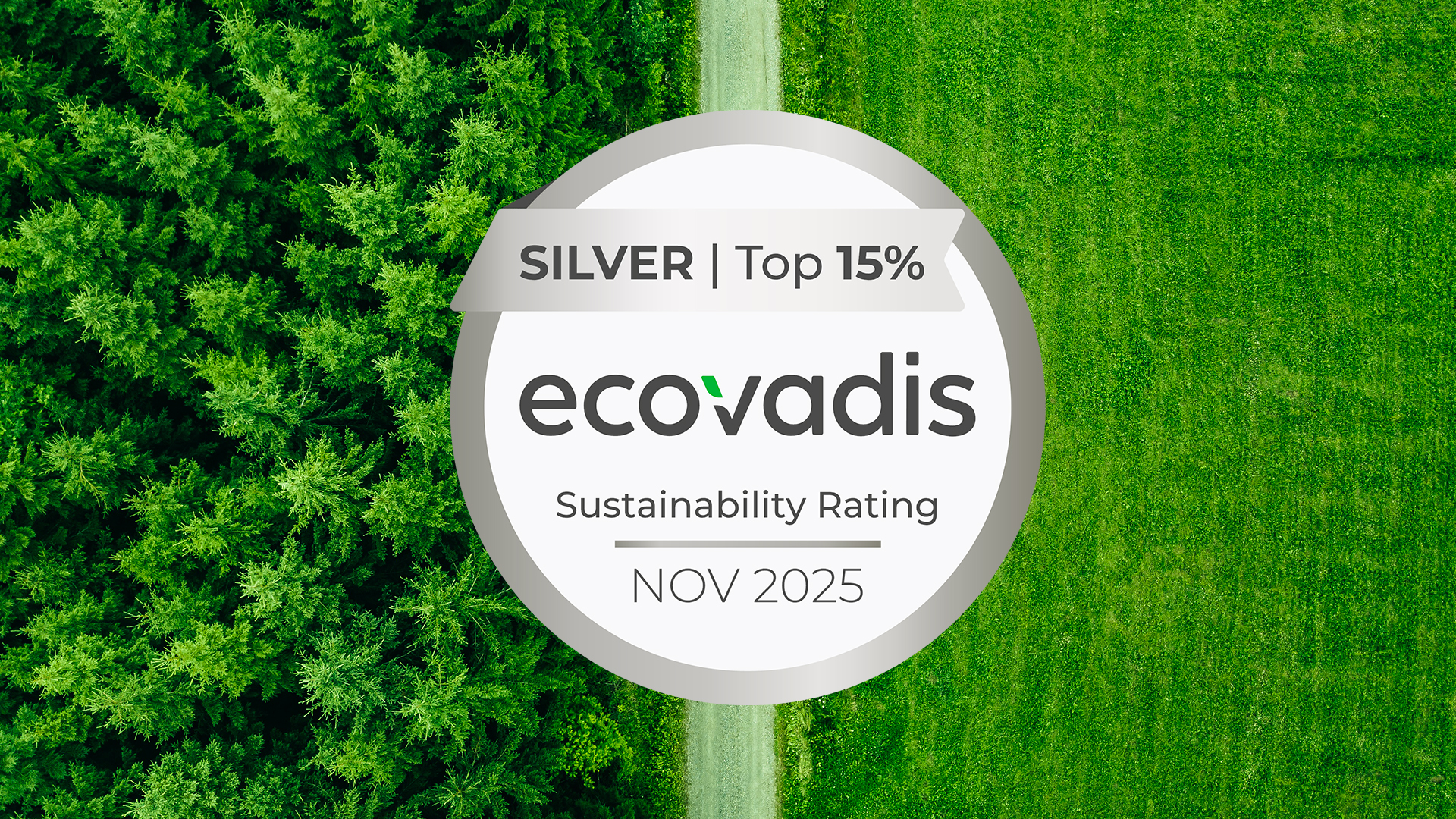 Medaglia d'argento Ecovadis 2025 - Microdata Group